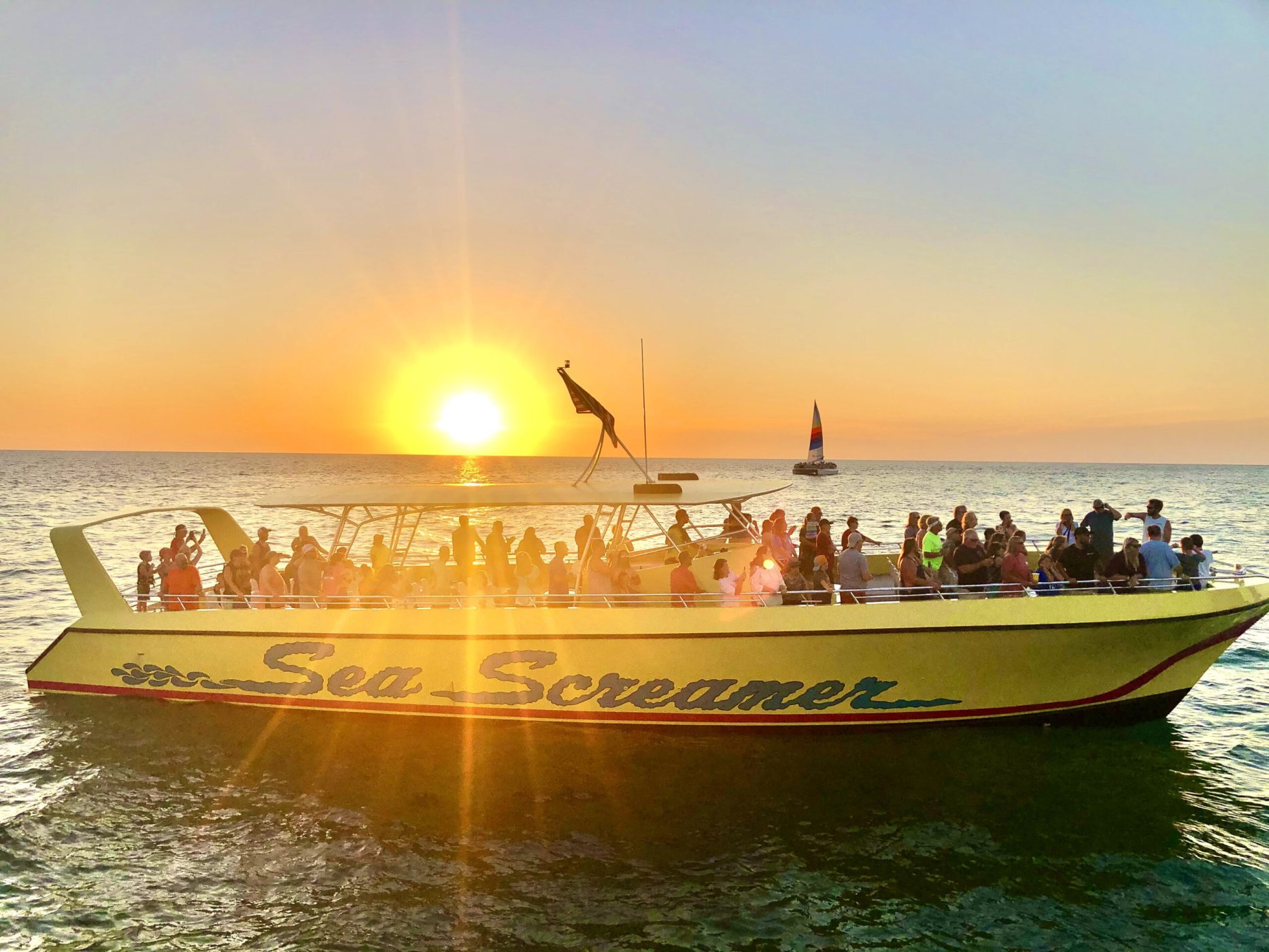 Contact Us | Sea Screamer Dolphin Cruises